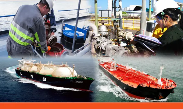 Non-Liquid Bulk Cargo Surveys for Marine SuperCargo | LLOYD'S MARITIME ...